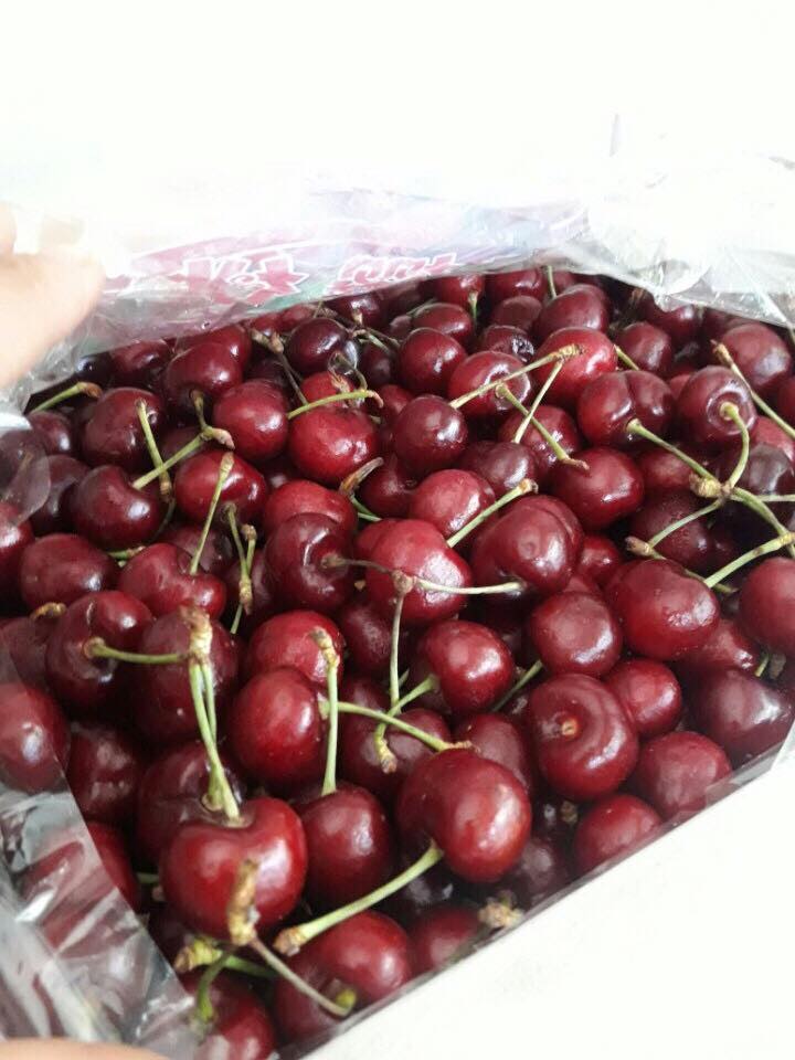 Hoang mang với cherry Trung Quốc được chào bán giá 120k/kg ở Lạng Sơn ...