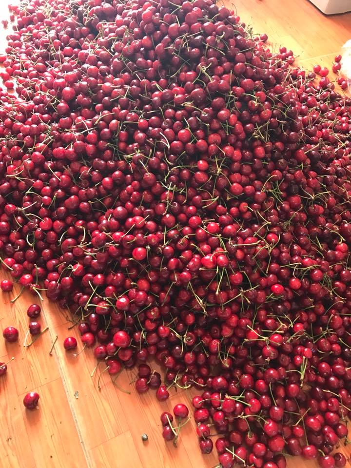Hoang mang với cherry Trung Quốc được chào bán giá 120k/kg ở Lạng Sơn ...