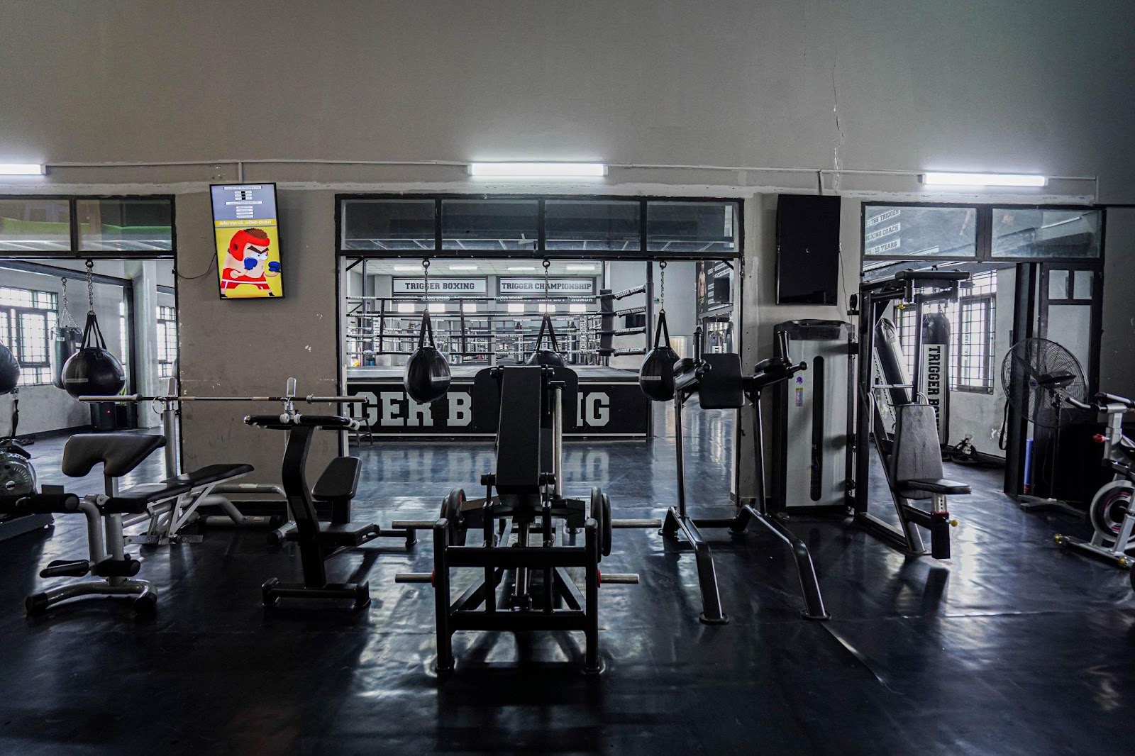 Trigger Boxing - Hệ thống phòng tập Boxing chất lượng nhất hiện nay ...