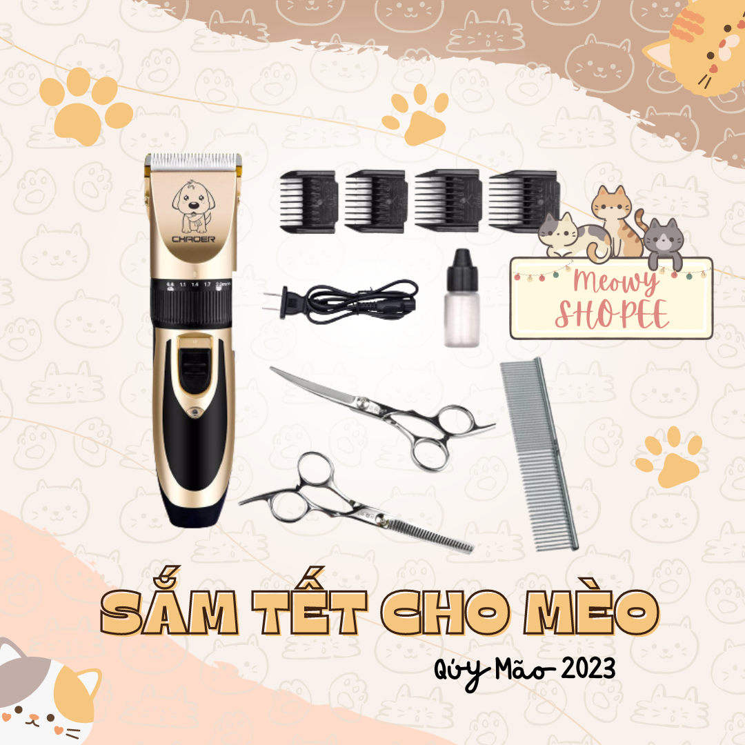 Tết con mèo “tậu” gì cho các "hoàng thượng" chưng diện ngày Tết ...