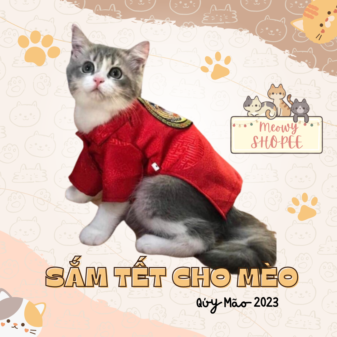 Tết con mèo “tậu” gì cho các "hoàng thượng" chưng diện ngày Tết ...