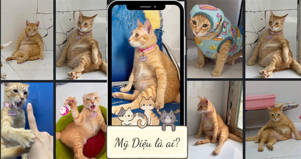 Mỹ Diệu là ai mà đang khiến dân tình phát cuồng? - Saostar.vn