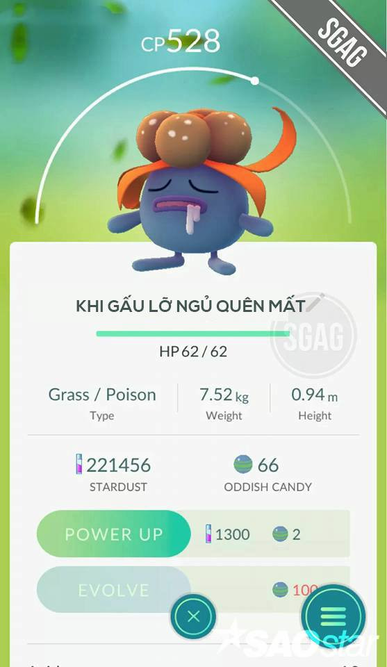 Những khoảnh khắc trùng hợp vô cùng đáng yêu giữa Pokemon và cô nàng 'gấu'